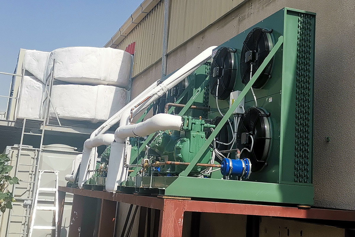 Blast Chillers / Freezers - Cold Storage Solutions & Refrigeration Experts