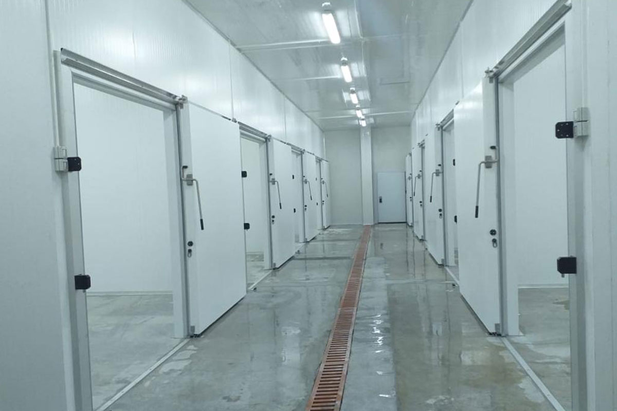 Walkin Chillers / Freezers - Cold Storage Solutions & Refrigeration Experts
